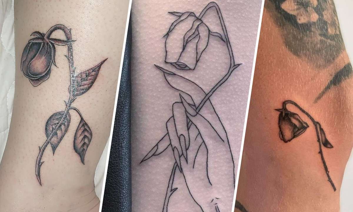 Decode the Dark Beauty of Dead Rose Tattoos (8 Eye-Opening Meanings)