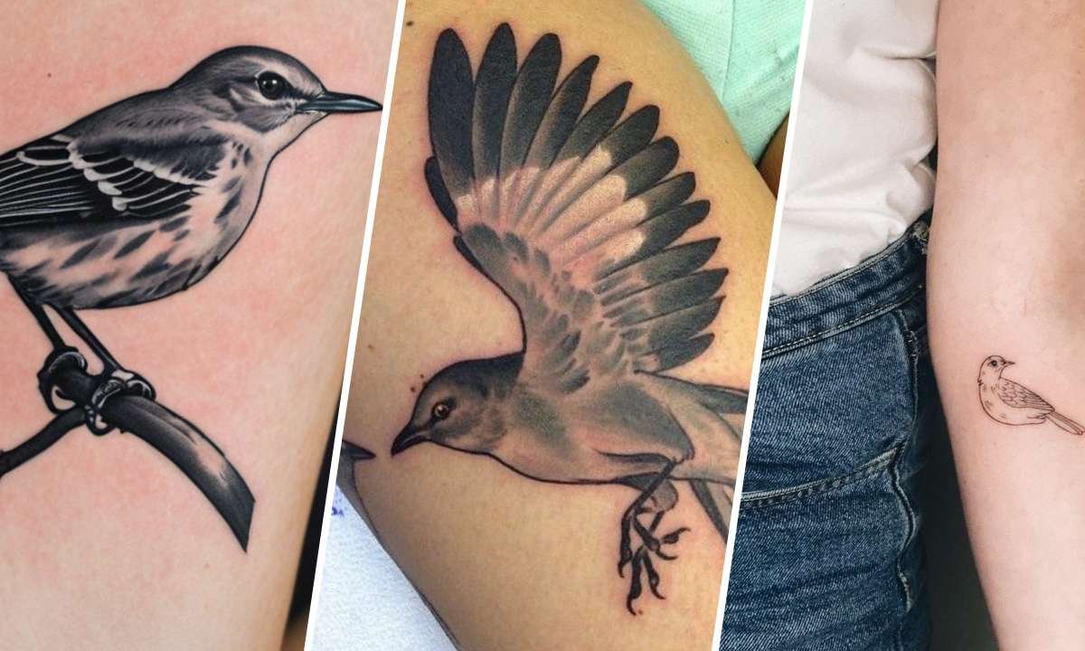 Discover the Profound Meaning Behind Mockingbird Tattoos (5 Secrets)